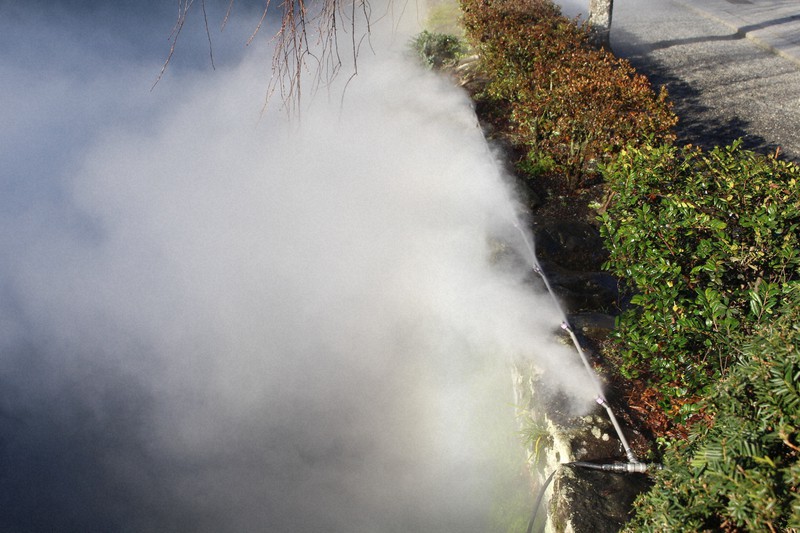 Ringing in the new year in a sea of mist at central Japan's Mishima ...