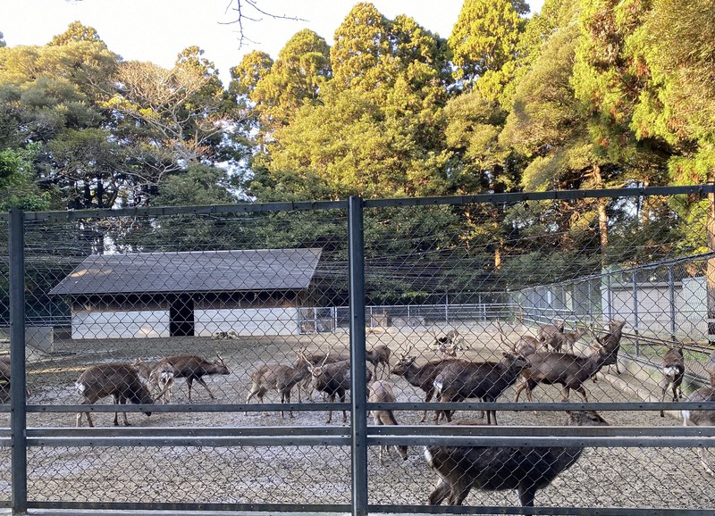Japan Motorcycle Diaries #7: Gems of 'Chibaraki'. Where the heck is ...