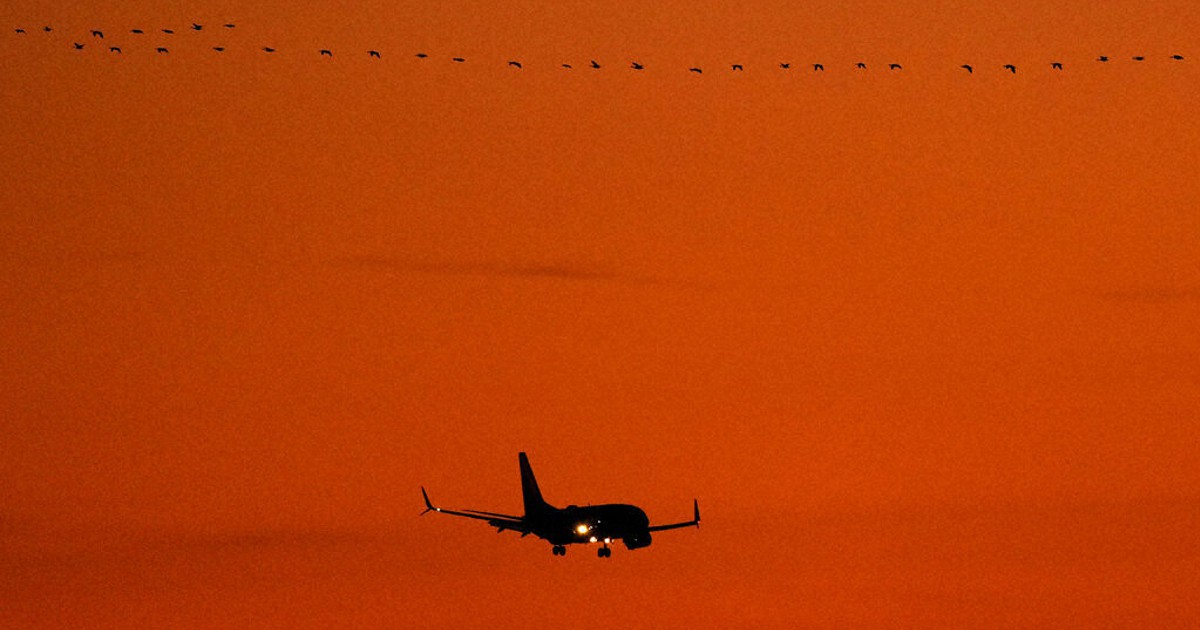 All departing US flights grounded after FAA computer outage - The Mainichi