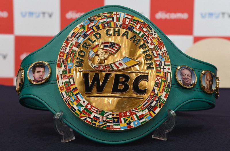 ボクシング・井上尚弥、4団体王座返上 [写真特集1/10] | 毎日新聞