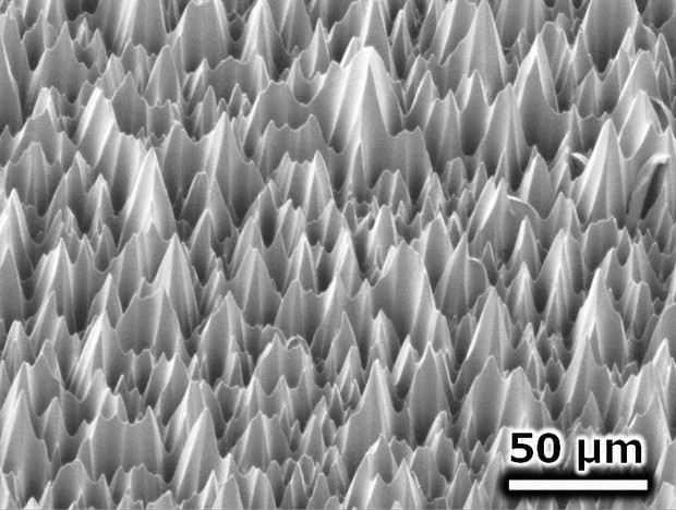 'Pure darkness': Japan-developed material absorbs 99.98% of visible ...