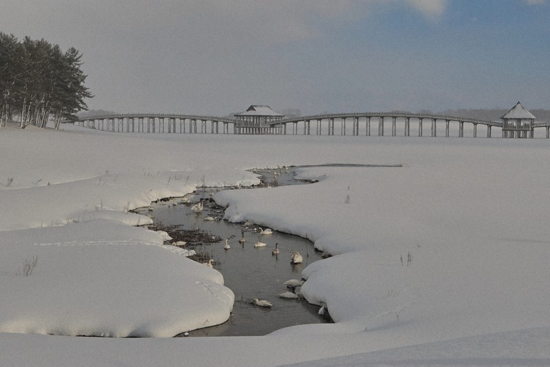 In Photos: Silvery scenes of Japan's longest wooden bridge crossing ...