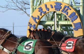 Punter wins record $168,000 on 75-cent bet at traditional horse race in ...