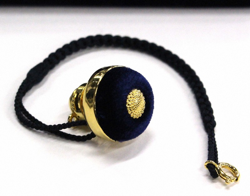 West Japan prefectural assembly switches member badges from gold to ...