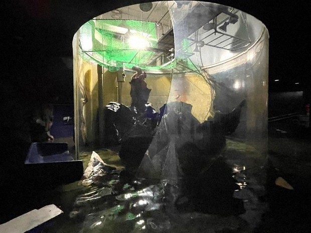 In Photos: Large tank housing giant catfish ruptures at west Japan ...