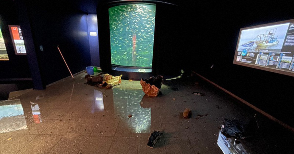 In Photos: Large tank housing giant catfish ruptures at west Japan ...