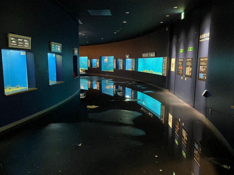 In Photos: Large tank housing giant catfish ruptures at west Japan ...