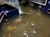 In Photos: Large tank housing giant catfish ruptures at west Japan ...