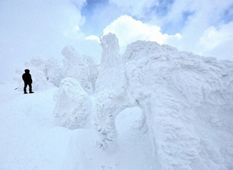 'Snow monsters' at their best on northern Japan's Hakkoda mountains ...