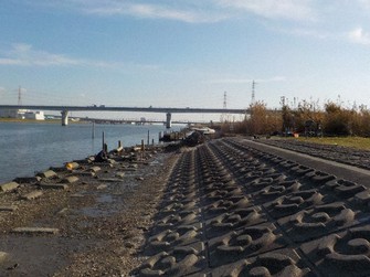 City near Tokyo seeks to ban dumping of oyster shells along river in ...