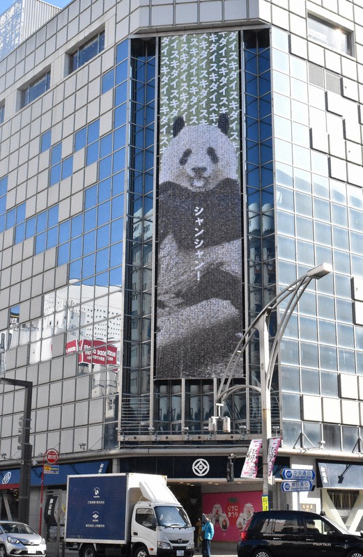 Tokyo exhibition pays tribute to beloved giant panda Xiang Xiang before ...