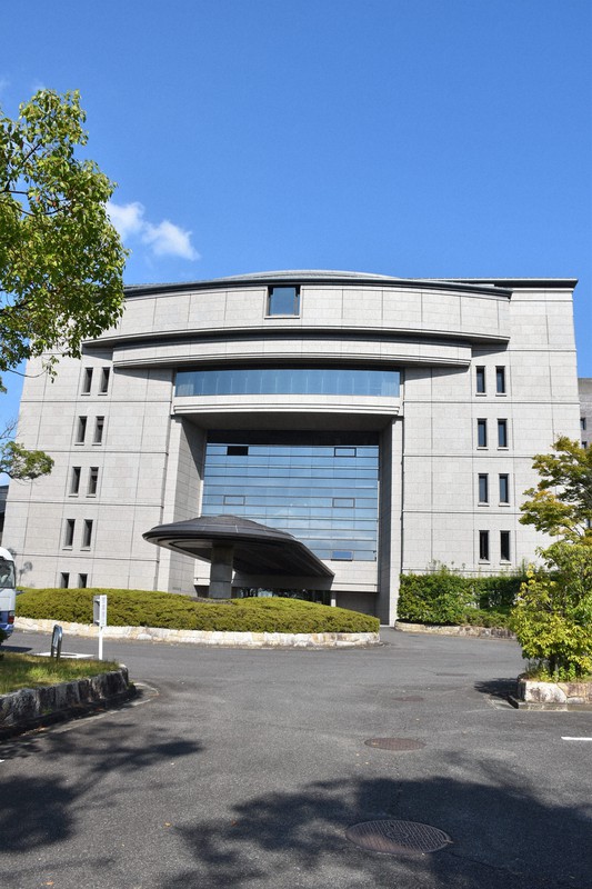 Lack of 'romantic ability' blamed by assemblyman for Japan's sliding ...