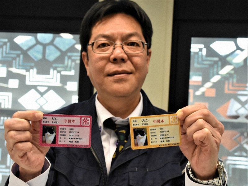 My 'nyamber' ID cards to be issued to domestic cats on Japan's Amami ...