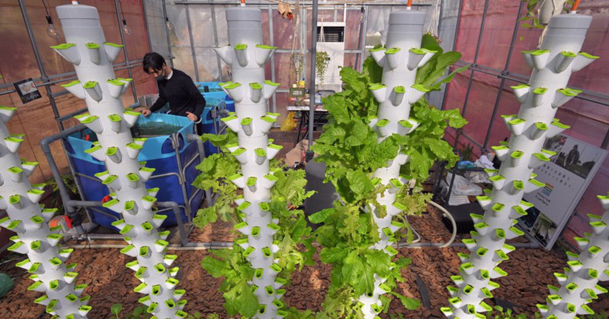 In Photos: 'Aquaponics' system combines aquaculture, hydroponic farming ...