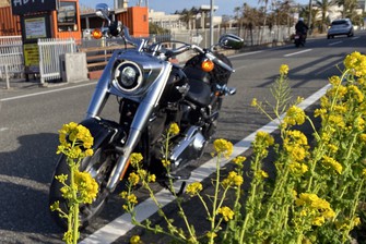 Japan Motorcycle Diaries #10: Riding under, over, along the sea for a ...