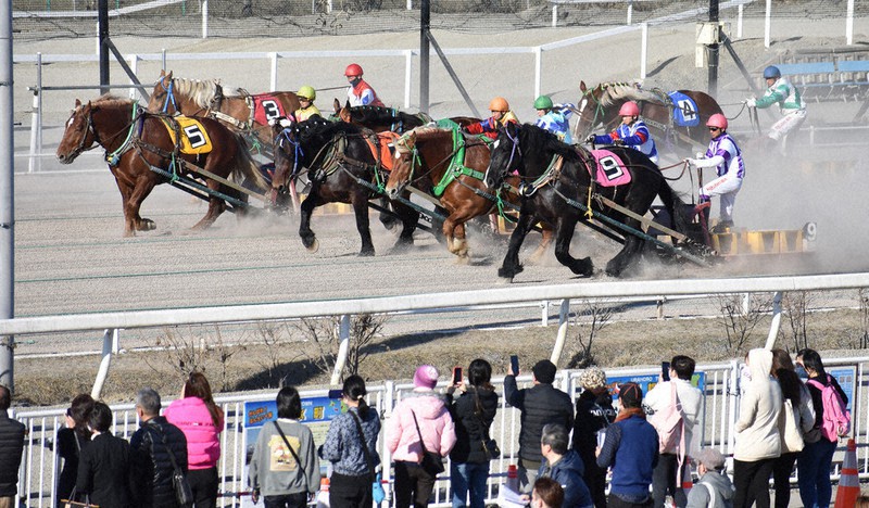 ばんえい競馬554億円 馬券販売、最高更新 今季終了 ／北海道 | 毎日新聞