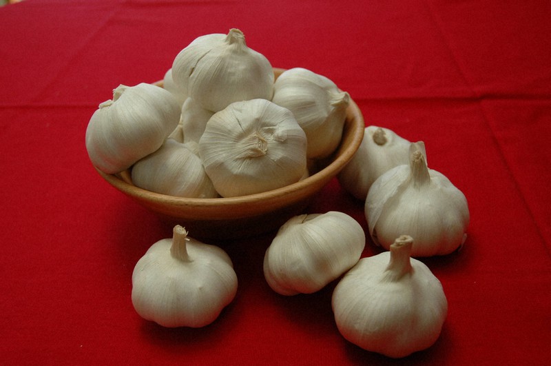 Garlic market surges in Japan as COVID boosts telework, mask usage ...