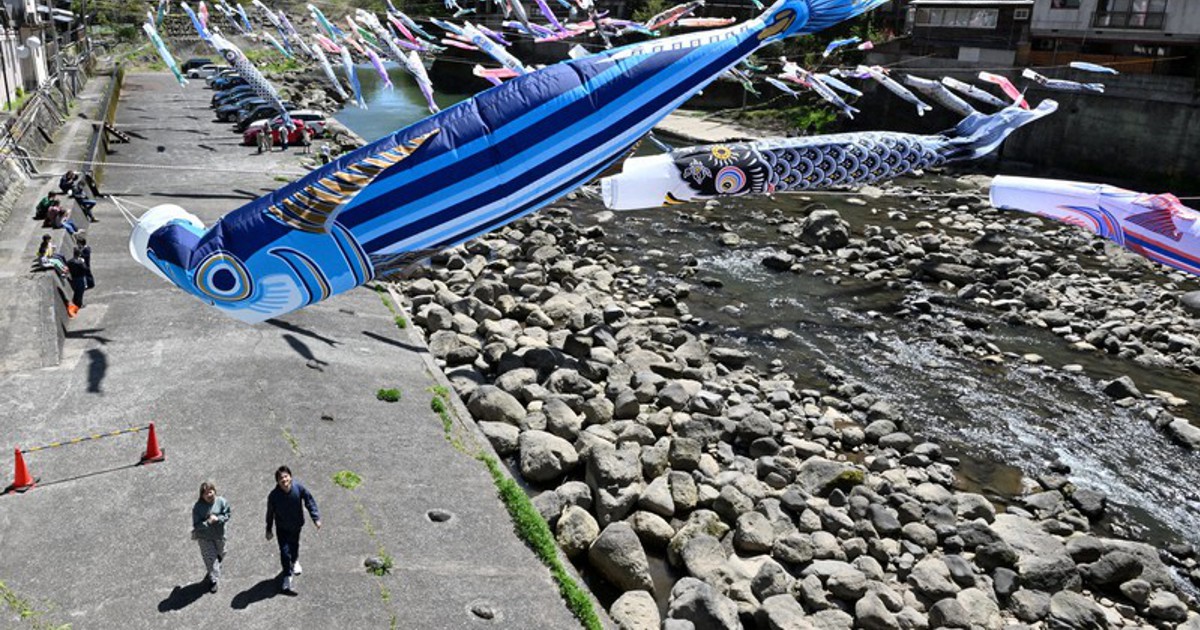 In Photos: Carp streamers, curious cat captured in southwest Japan ...