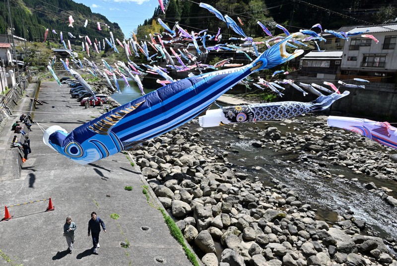 In Photos: Carp streamers, curious cat captured in southwest Japan ...