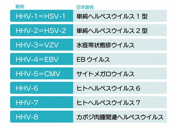 単純ヘルペス 何度も繰り返す「痛い病気」 帯状疱疹との違いは | 実践！感染症講義 -命を救う5分の知識- | 谷口恭 | 毎日新聞「医療プレミア」