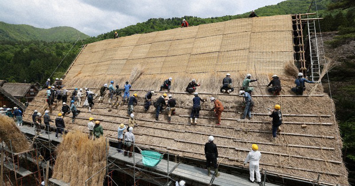 Villagers rethatch roofs of World Heritage Shirakawa-go settlement ...