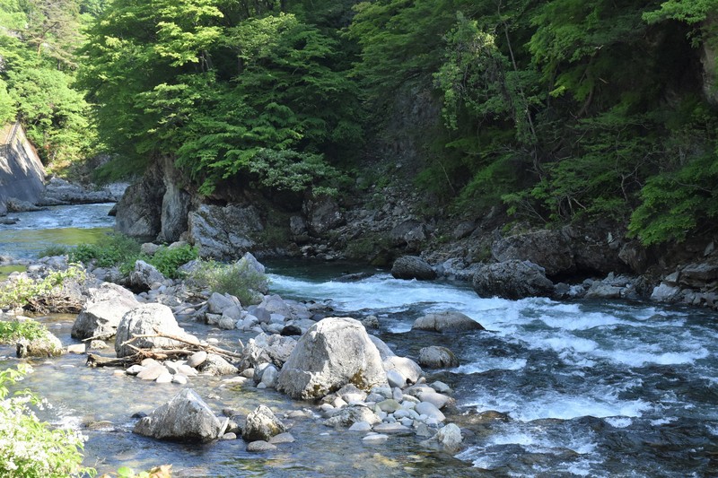 Parents seek answers after son's sudden death in Japan rafting tour ...