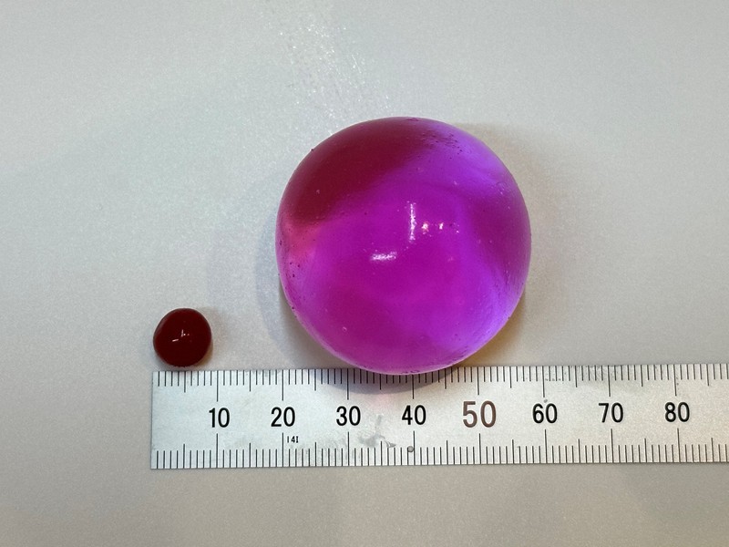 Japan gov't to regulate 'tiny time bomb' toys often mistakenly ingested ...