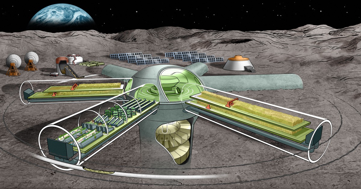 Japan university launches space horticulture research center, looks to ...