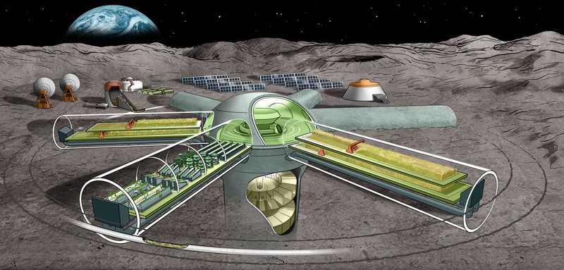 Japan university launches space horticulture research center, looks to ...