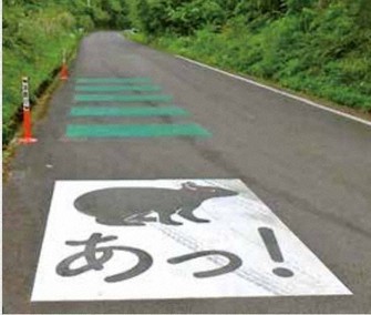 Road markings featuring native rabbits installed to protect them in ...