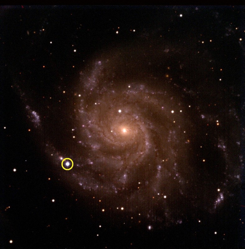 超新星爆発、二つ撮影成功 恒星の寿命尽きる様子 群馬県立天文台 [写真特集1/4] | 毎日新聞