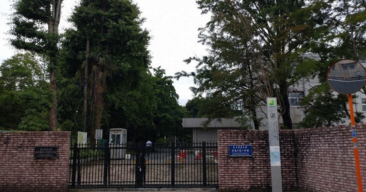 Bullied boy forced to switch schools after Tokyo elementary failed to ...