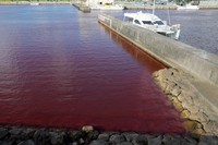 In Photos: Okinawan fishing port seeing red after colored coolant water ...