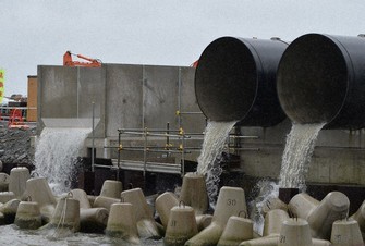 Cesium 180 times limit found in fish at Fukushima nuke plant 12 years ...