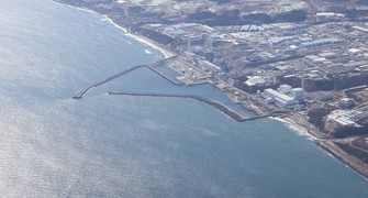 Cesium 180 times limit found in fish at Fukushima nuke plant 12 years ...