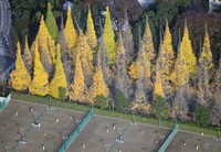 Editorial - The Mainichi