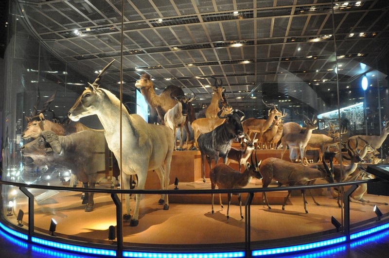 Japan nat'l science museum reaches crowdfunding goal of 100 mil. yen in ...