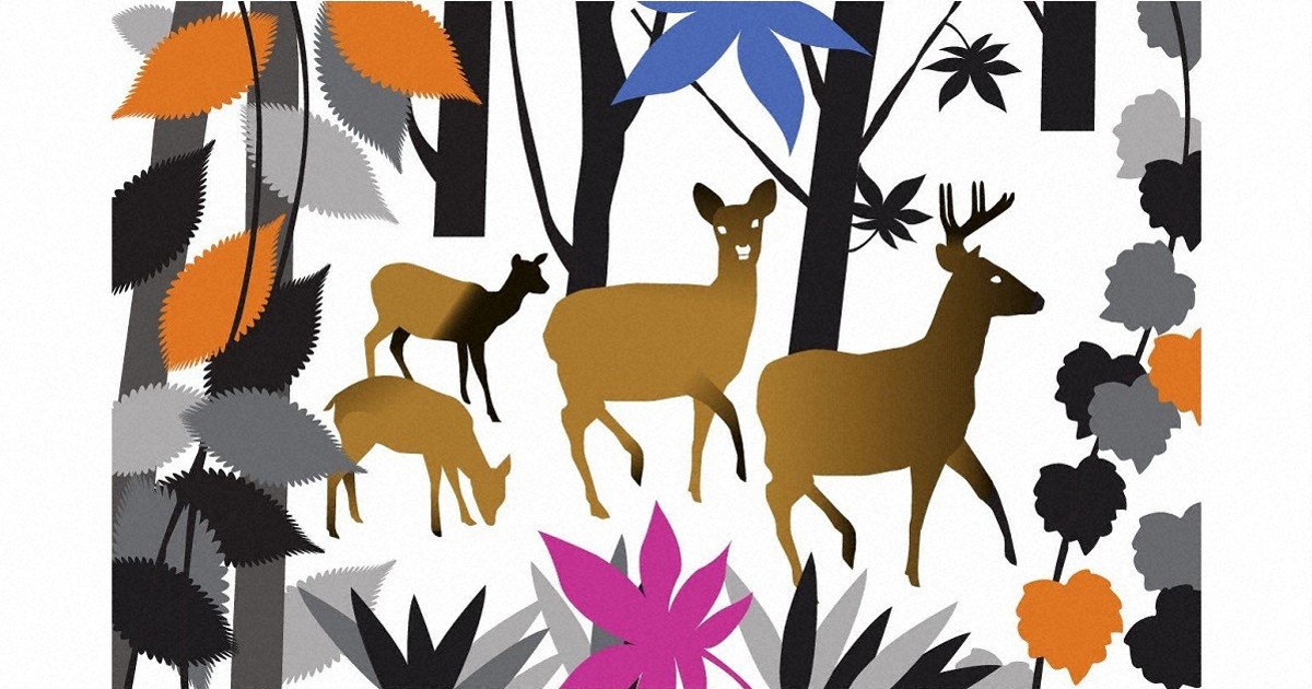 Meet your match? Spot the difference #82: Autumn forest - The Mainichi