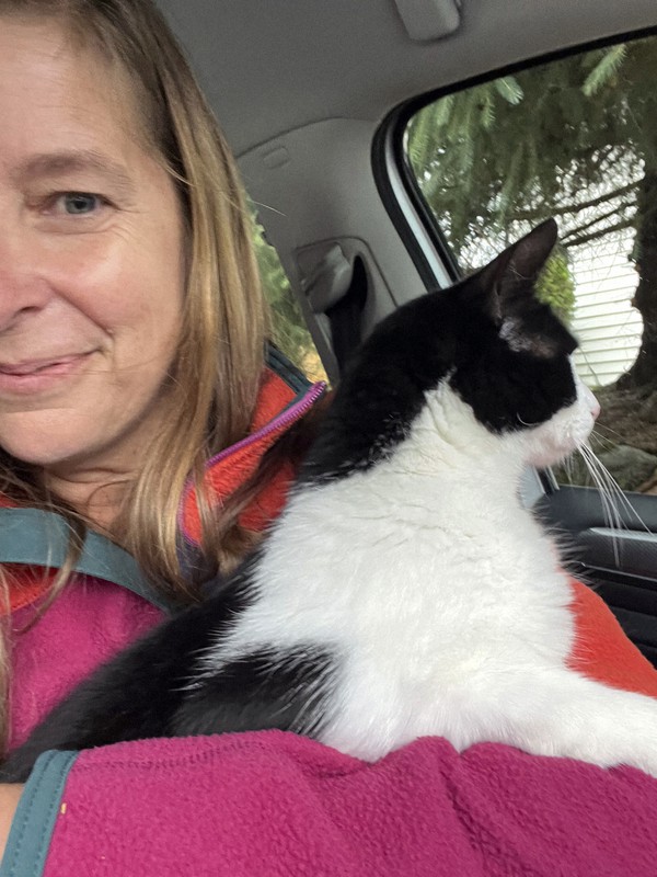 Alaska couple reunited with cat 26 days after home collapsed into river ...