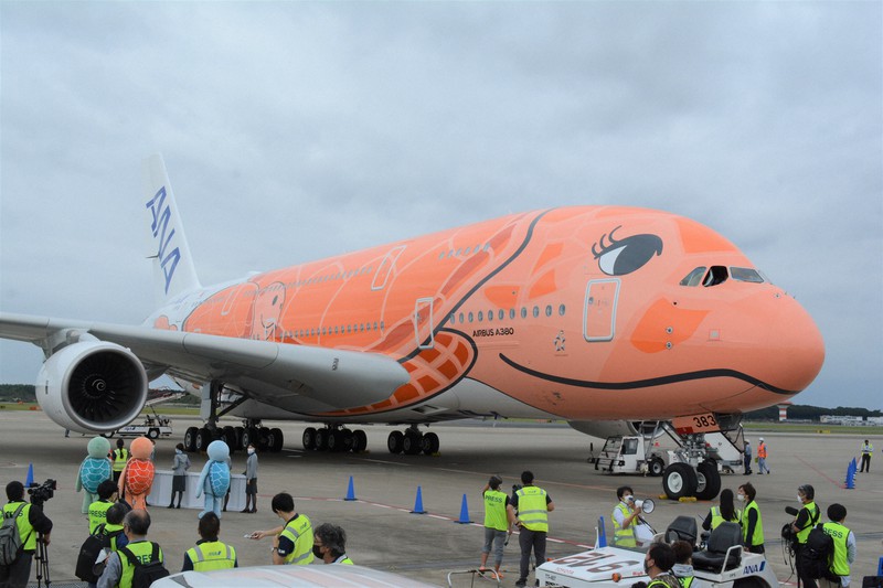 Orange turtle jet to make debut between Japan's Narita airport and ...