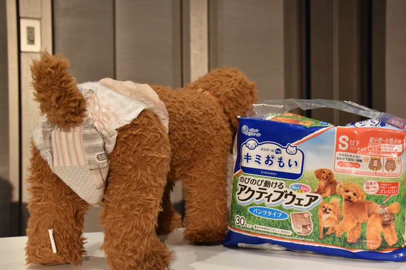 Japan pet snack market expanding with ever-growing treat selection ...
