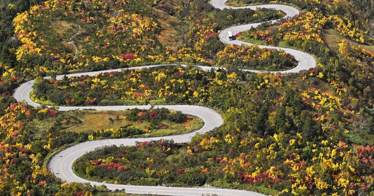 Blaze of autumn colors hits central Japan alpine route - The Mainichi
