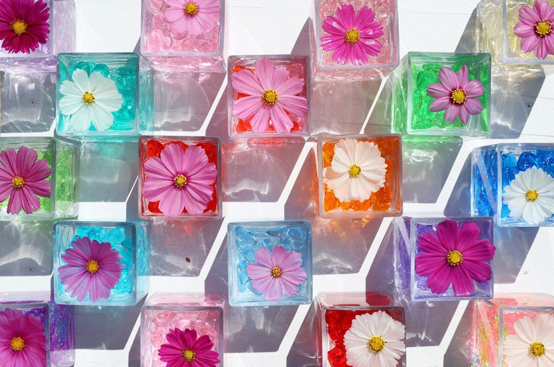 In Photos: Vividly colored 'cosmos cubes' adorn Japan temple grounds ...