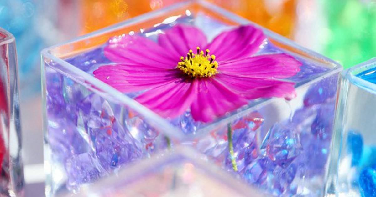 In Photos: Vividly colored 'cosmos cubes' adorn Japan temple grounds ...