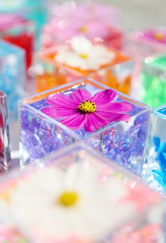 In Photos: Vividly colored 'cosmos cubes' adorn Japan temple grounds ...