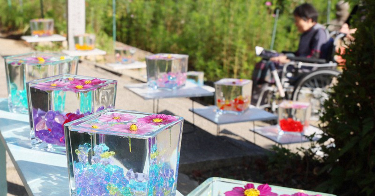 In Photos: Vividly colored 'cosmos cubes' adorn Japan temple grounds ...