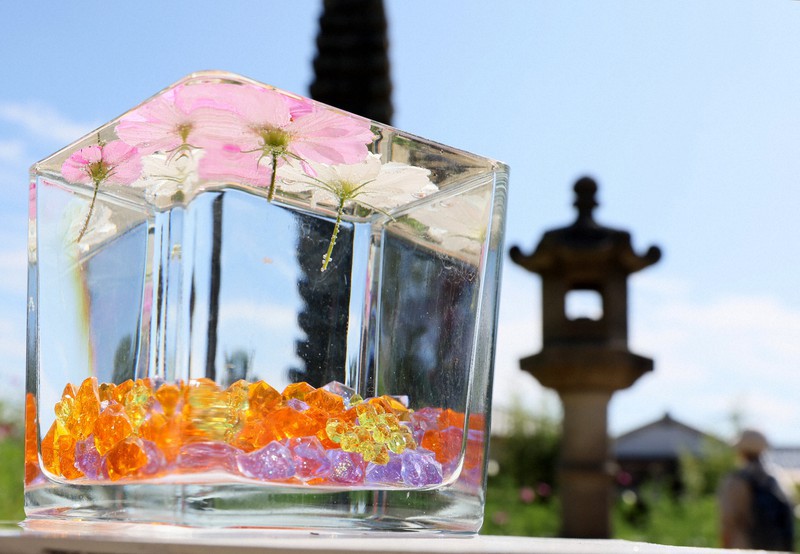 In Photos: Vividly colored 'cosmos cubes' adorn Japan temple grounds ...