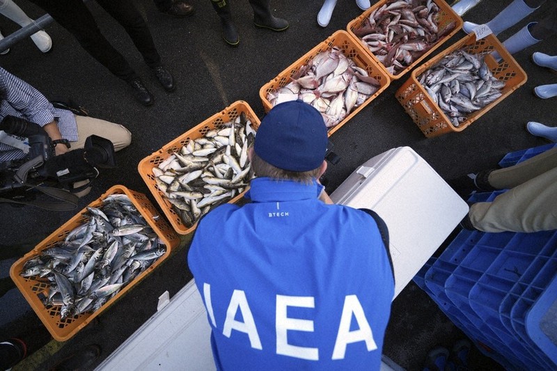 UN nuclear agency team watches Japanese lab workers prepare fish ...