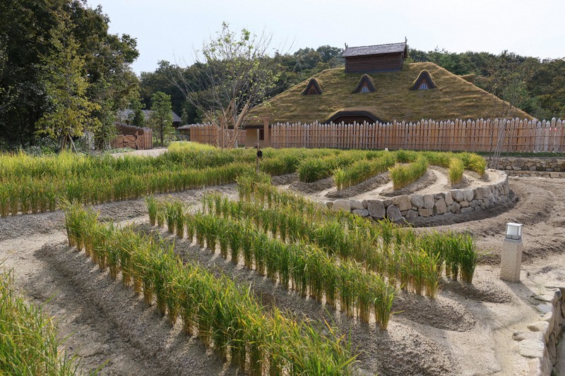In Photos: A look at the new 'Mononoke Village' at Ghibli Park in ...
