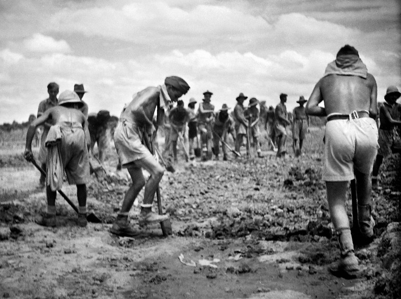 Some WWII Jewish refugees became Japanese Army POWs despite 'visas for ...